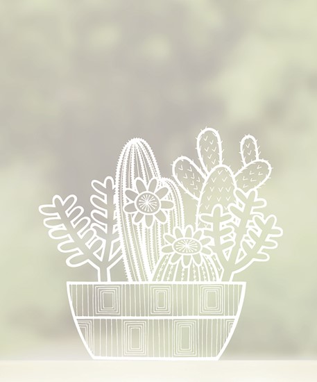 Mid Century Cacti Design Frosted Window Film by Jane Foster