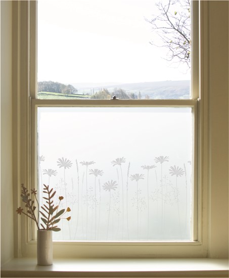Daisy Meadows Edge Window Film Design by Hannah Nunn
