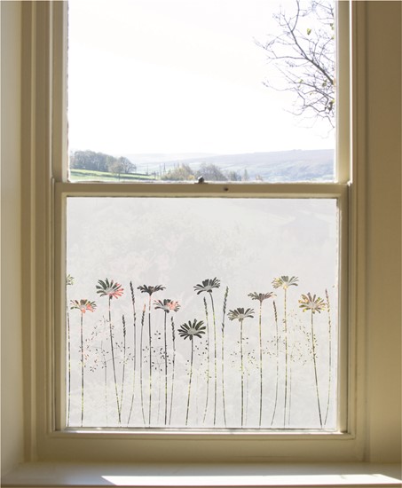 Daisy Meadows Edge Window Film Design by Hannah Nunn