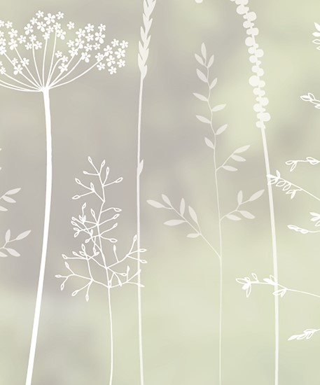 In The Tall Grass Window Film Design by Hannah Nunn