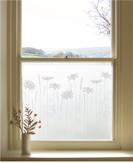 Tall Daisies Frosted Window Film Design by Hannah Nunn