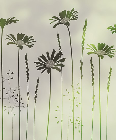 Tall Daisies Frosted Window Film Design by Hannah Nunn