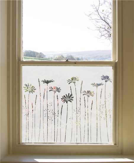 Tall Daisies Frosted Window Film Design by Hannah Nunn