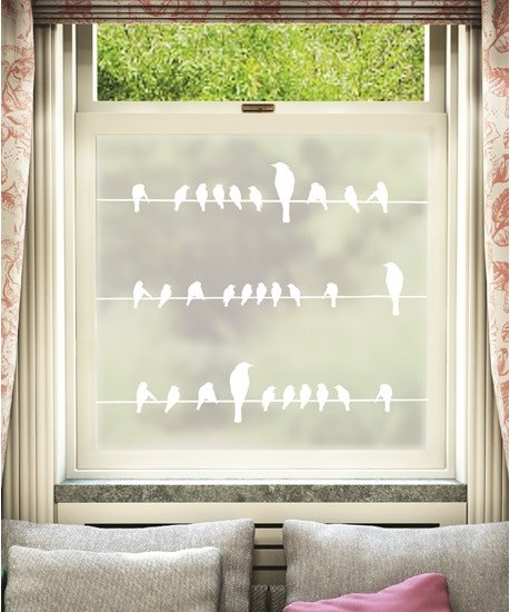 Patterned Frosted Window Film Pajaros Design