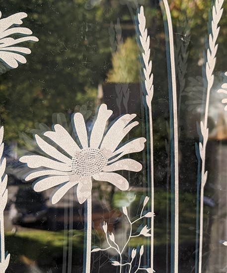 Tall Daisies Frosted Window Film Design by Hannah Nunn