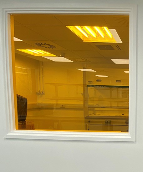 Amber 81 UV Protection Window Film - Full Roll from The Window Film Company